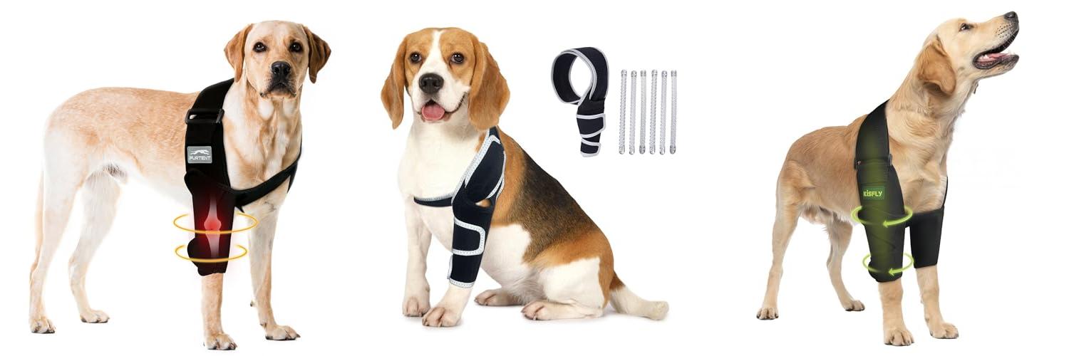 Top 5 Dog Shoulder Braces: Reviews & Buying Guide for Your Pup
