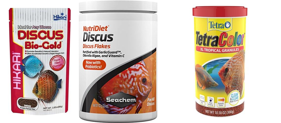 Top 5 Foods For Discus: Nourish Your Aquatic Jewels!