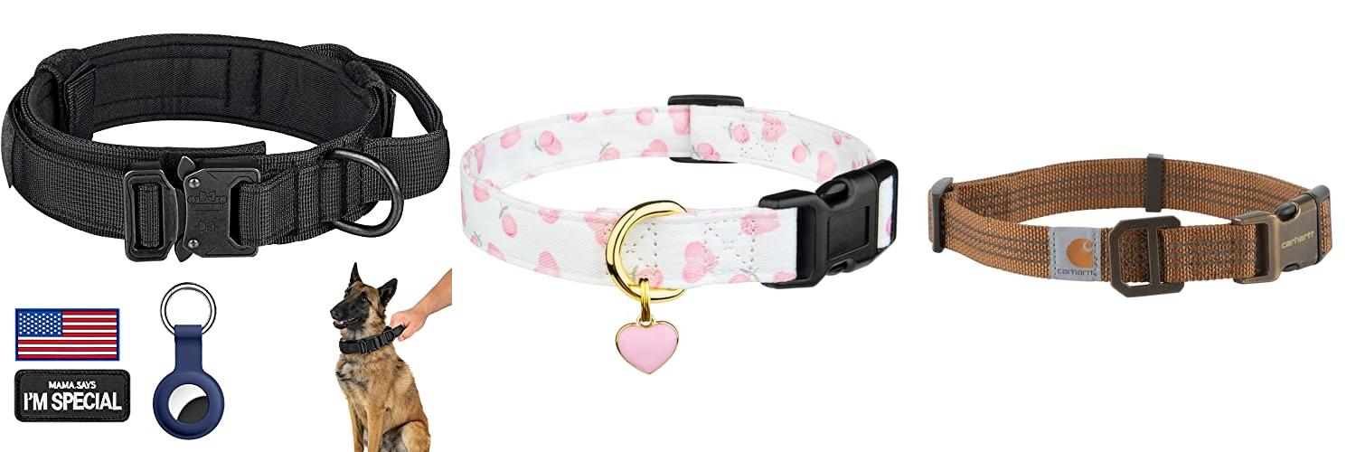 Top 5 Collars for French Bulldogs: Essential Guide