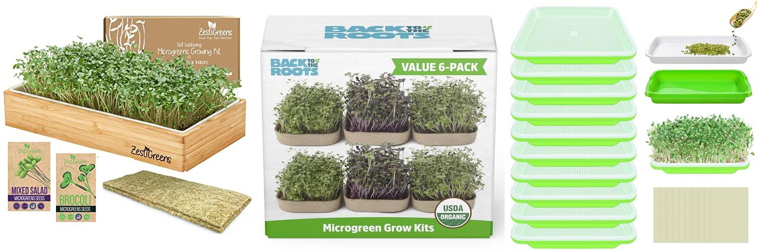 Top 5 Microgreen Growing Kits: Your Easy Home Garden