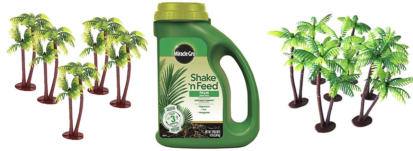 Top 5 Palm Trees For Containers: Your Grow Guide