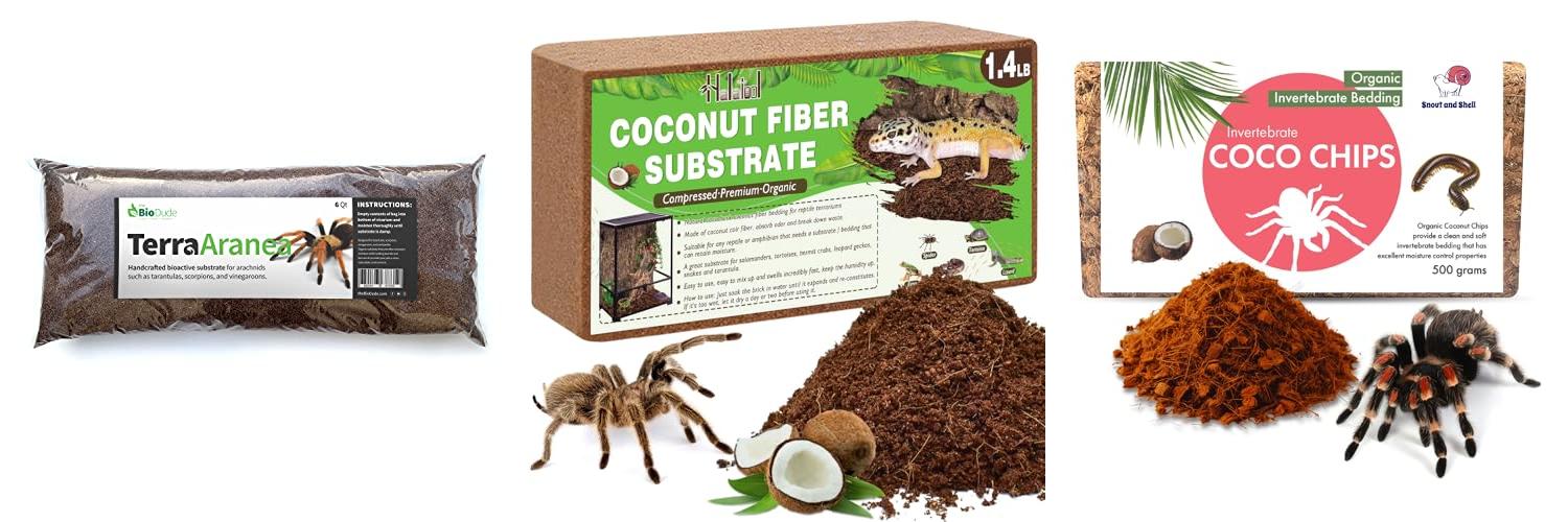 Top 5 Tarantula Substrates: Your Essential Buying Guide
