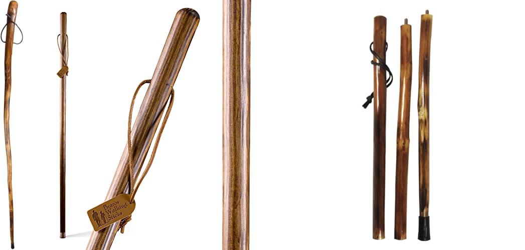 Top 5 Woods For Your Walking Staff: A Buyer's Guide