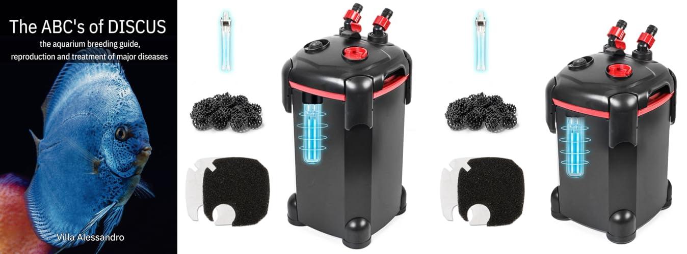 Top 5 Filters for Discus Aquarium: Your Guide