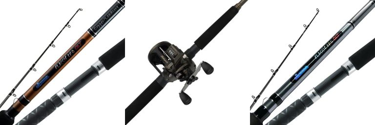 Best Lead Core Trolling Rods: Our Top 5 Picks