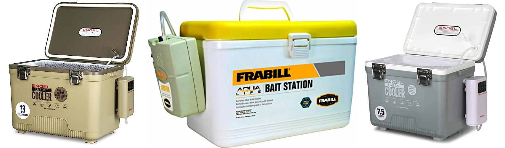 Top 5 Live Bait Coolers: Your Essential Buying Guide