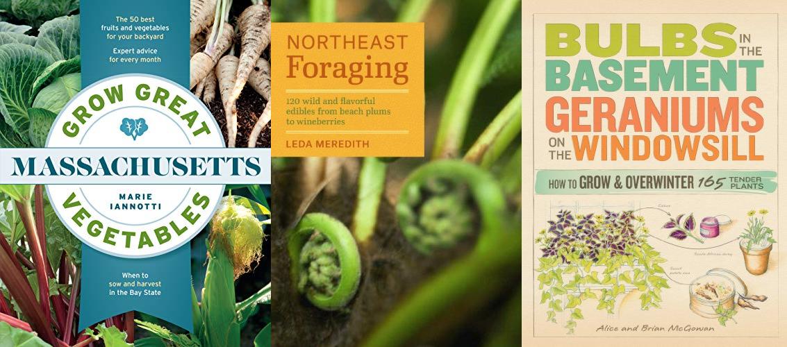 Top 5 Massachusetts Plants: Your Growing Guide