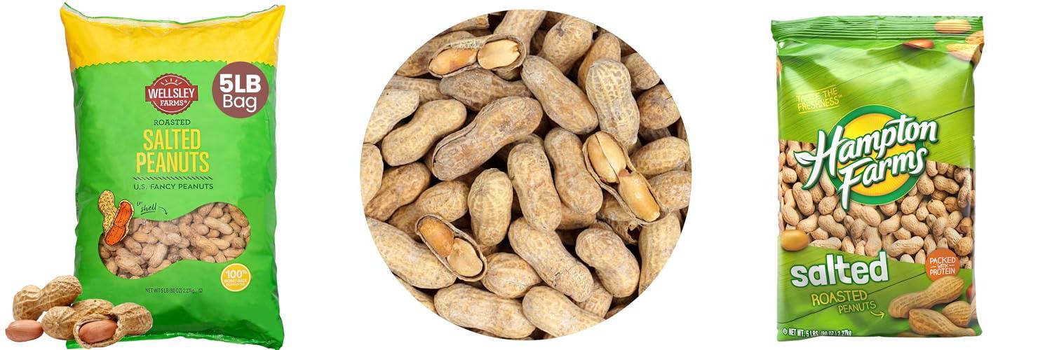 Top 5 Roasted Peanuts In Shell: Your Buying Guide